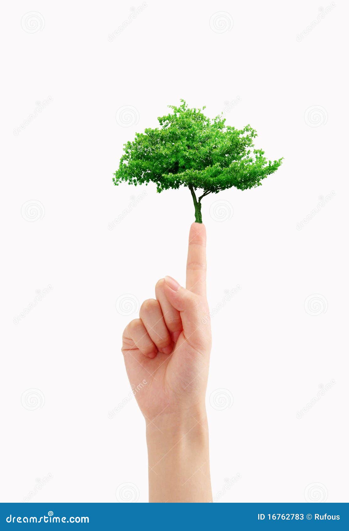 Tree on finger stock image. Image of reforestation, background - 16762783
