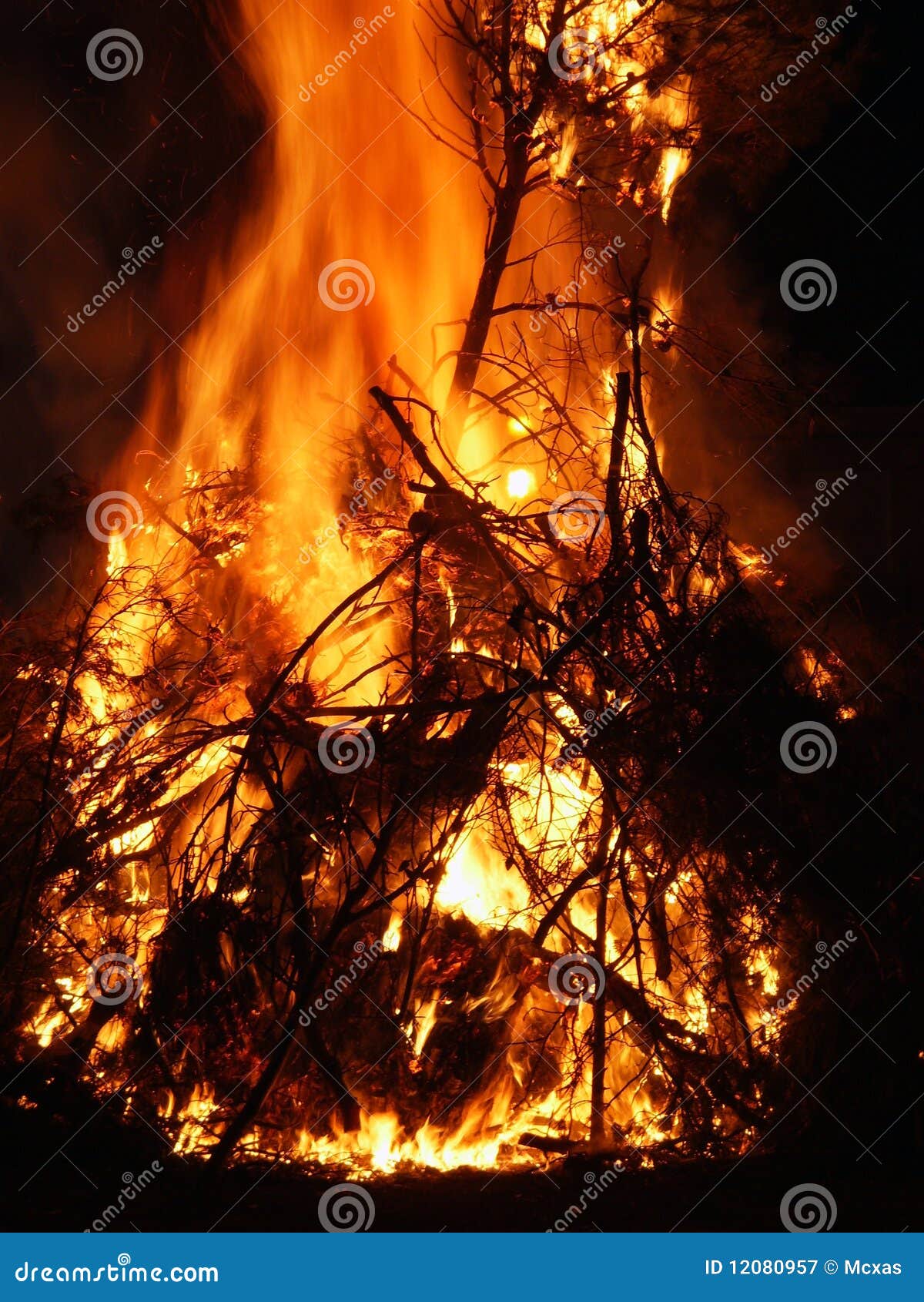 Tree on fire stock image. Image of dangerous, trees, smoke - 12080957