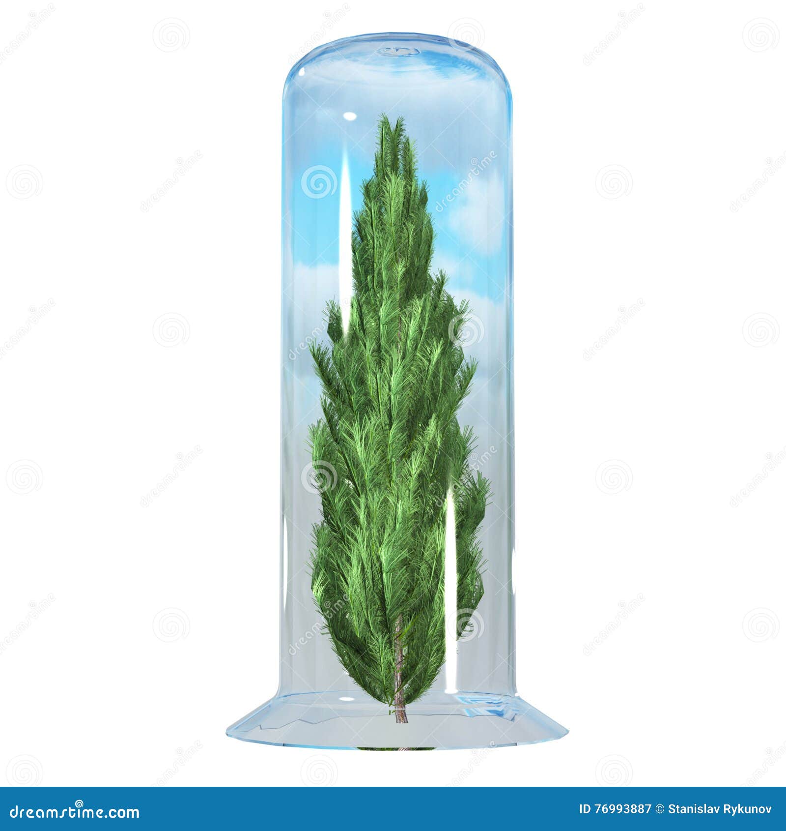 Tree in the Flask. Tree in Vitro Stock Illustration - Illustration of ...