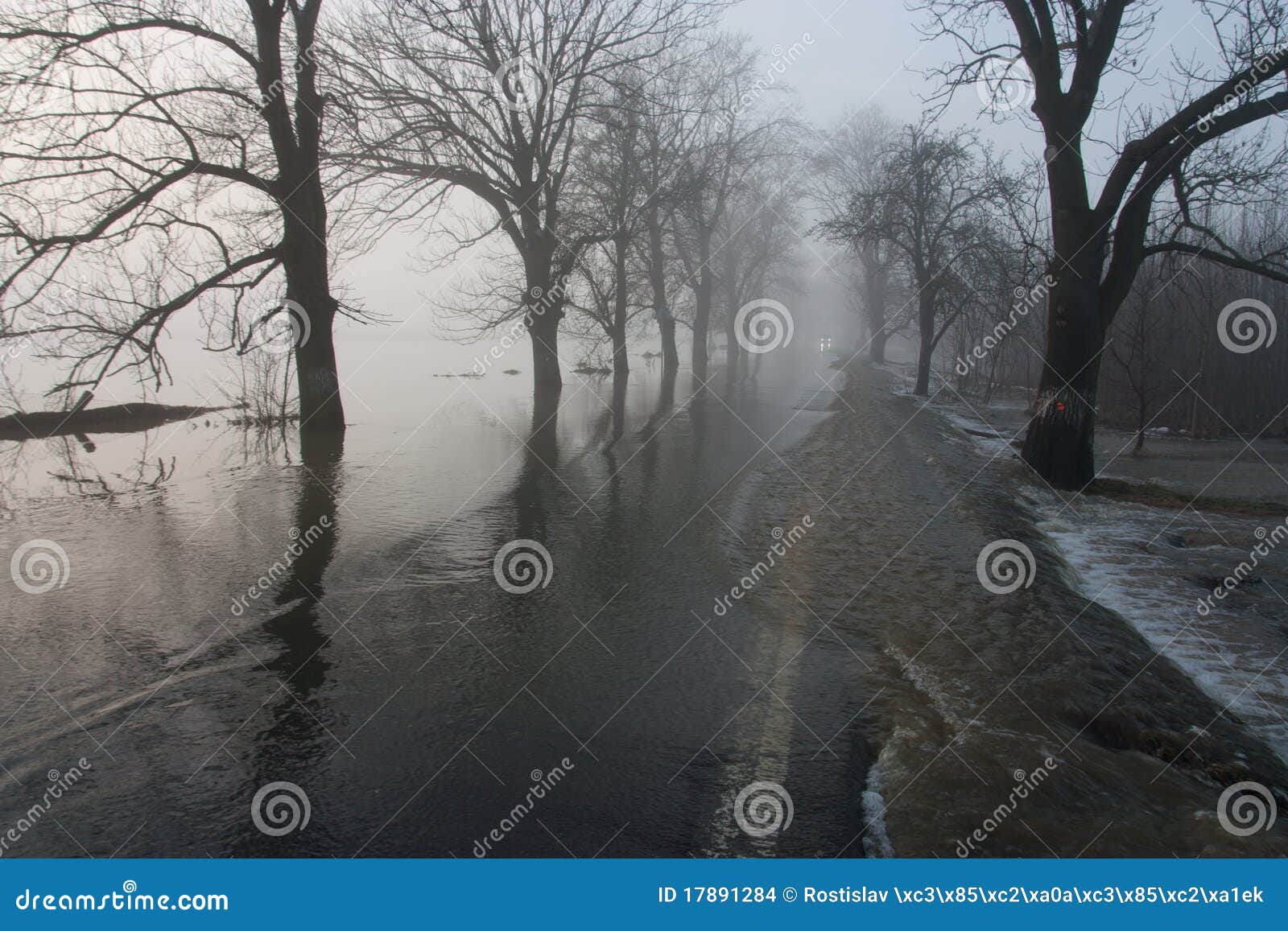 Tree in flood editorial stock image. Image of havoc, lake - 17891284