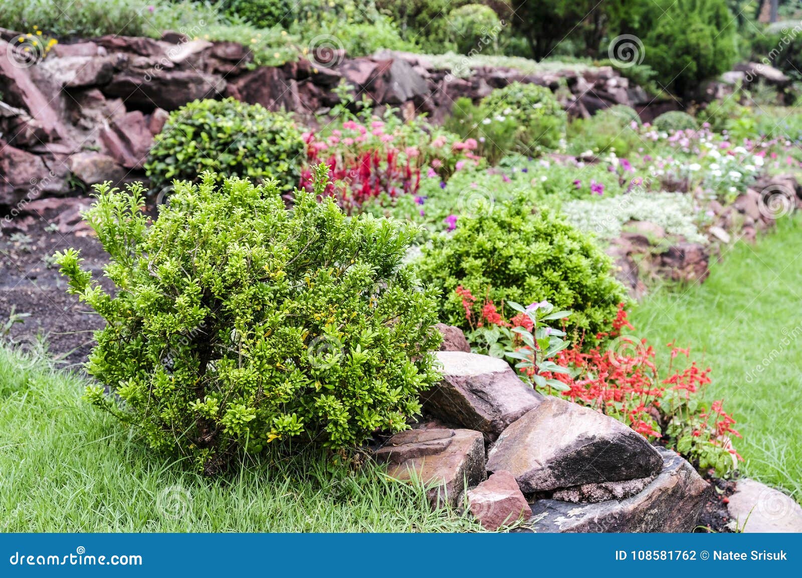 Tree and Flower in the Garden Stock Photo - Image of grass, park: 108581762