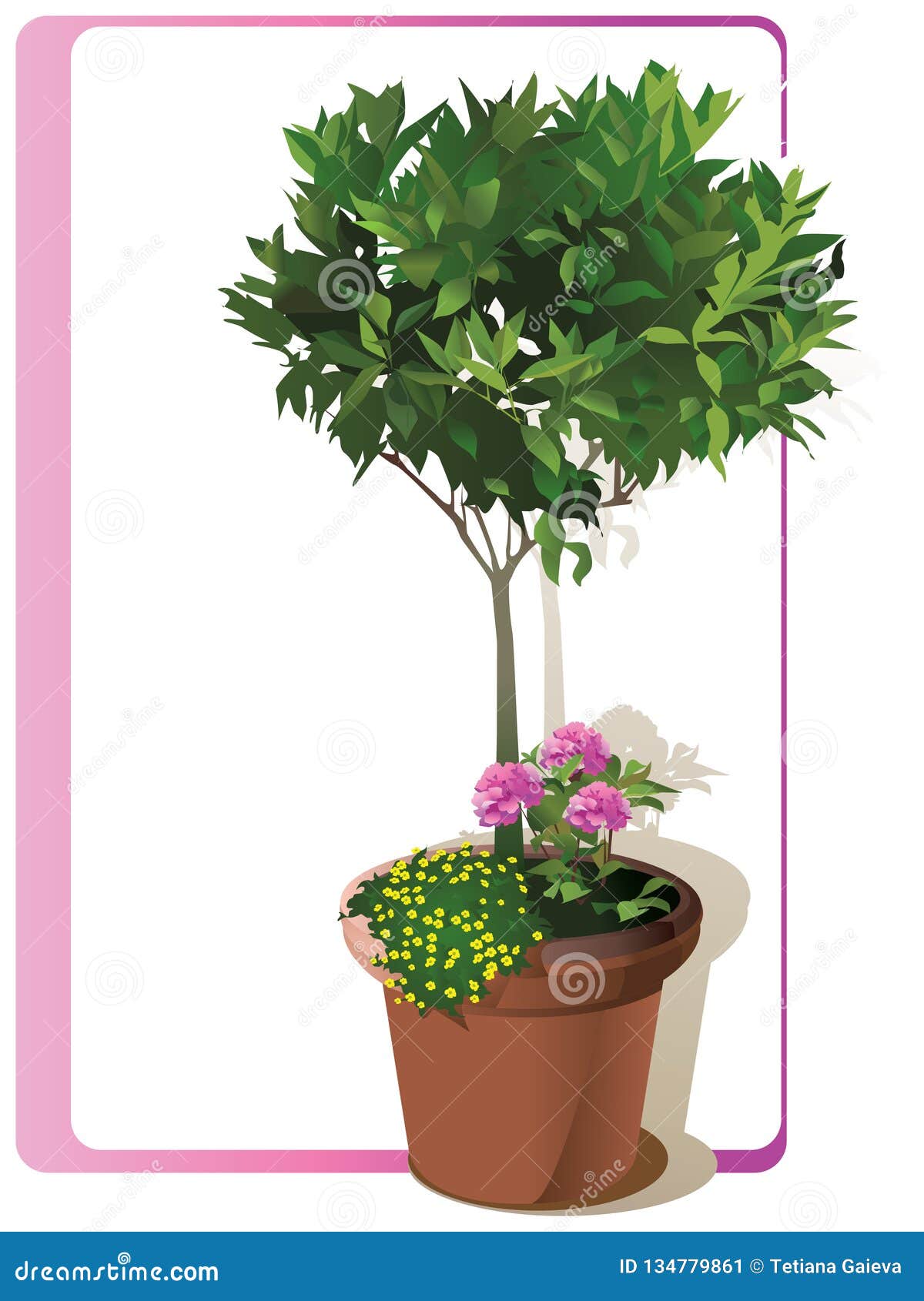 Tree Growing in Decorative Pot. Vector Stock Vector - Illustration of ...