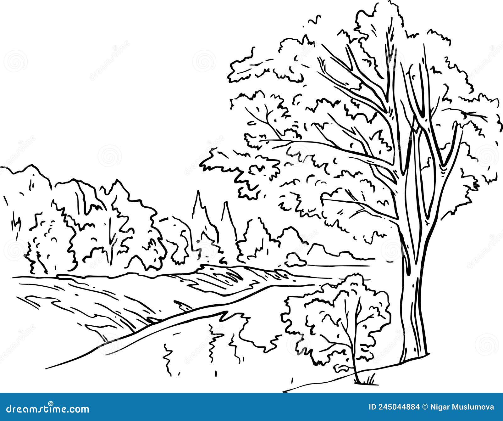 Tree, Forest, Hand Draw Vector Illustration Art Stock Vector ...