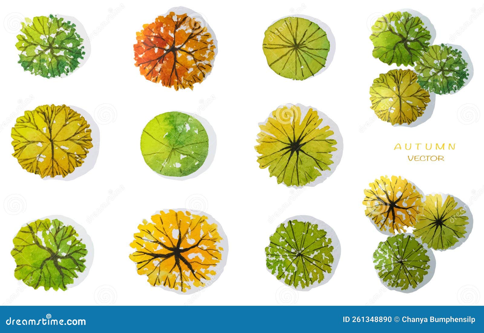 Tree or Forest Side View Isolated on White Background for Landscape ...