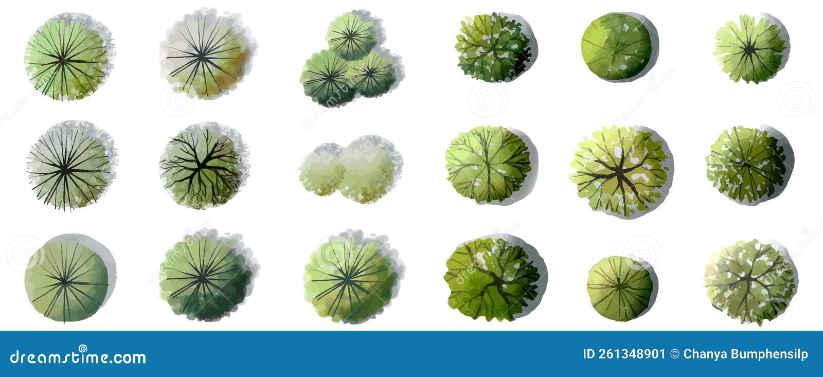 Tree or Forest Top View Isolated on White Background for Landscape Plan ...