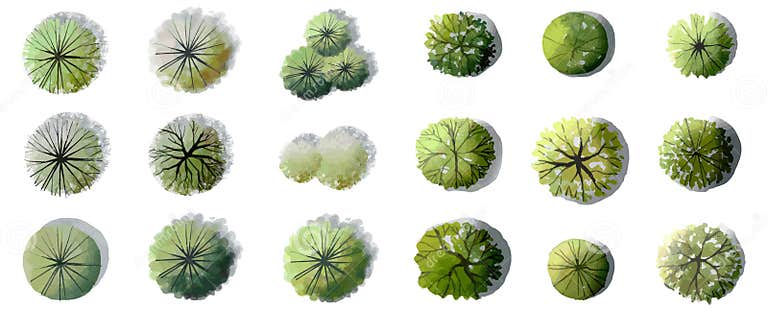 Tree or Forest Top View Isolated on White Background for Landscape Plan ...