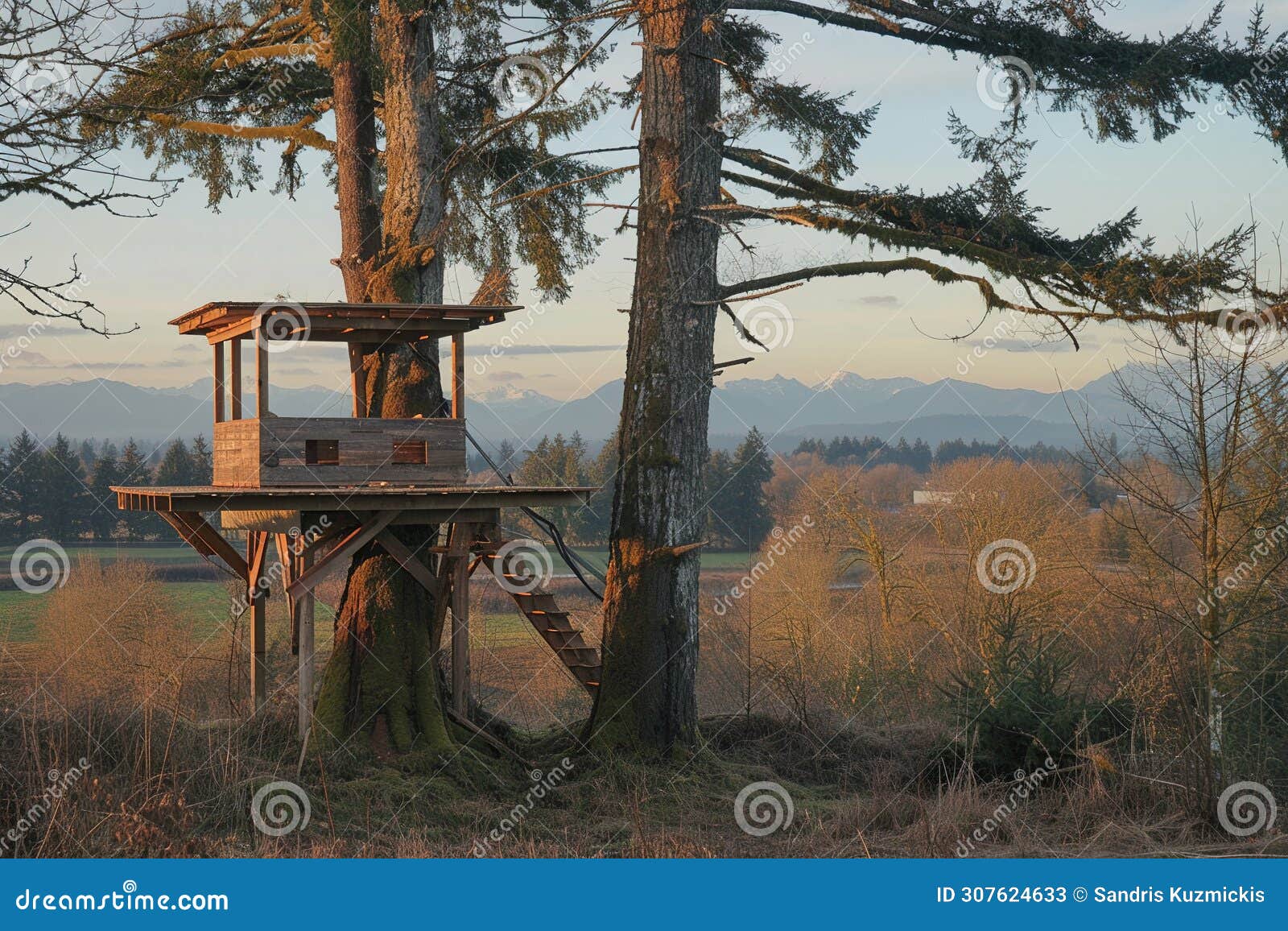 A Tree Fort Up in the Trees. Generative AI Stock Illustration ...