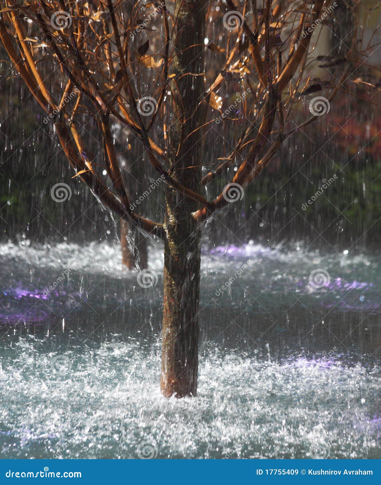 The tree in the fountain stock image. Image of green - 17755409