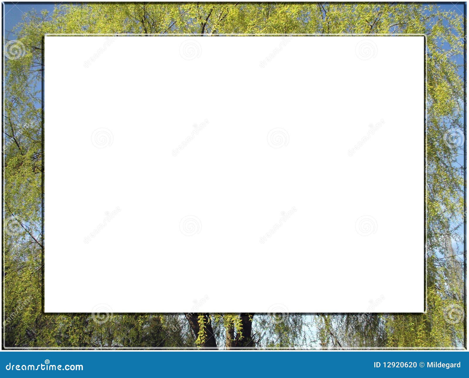 Tree frame stock photo. Image of clouds, white, plants - 12920620