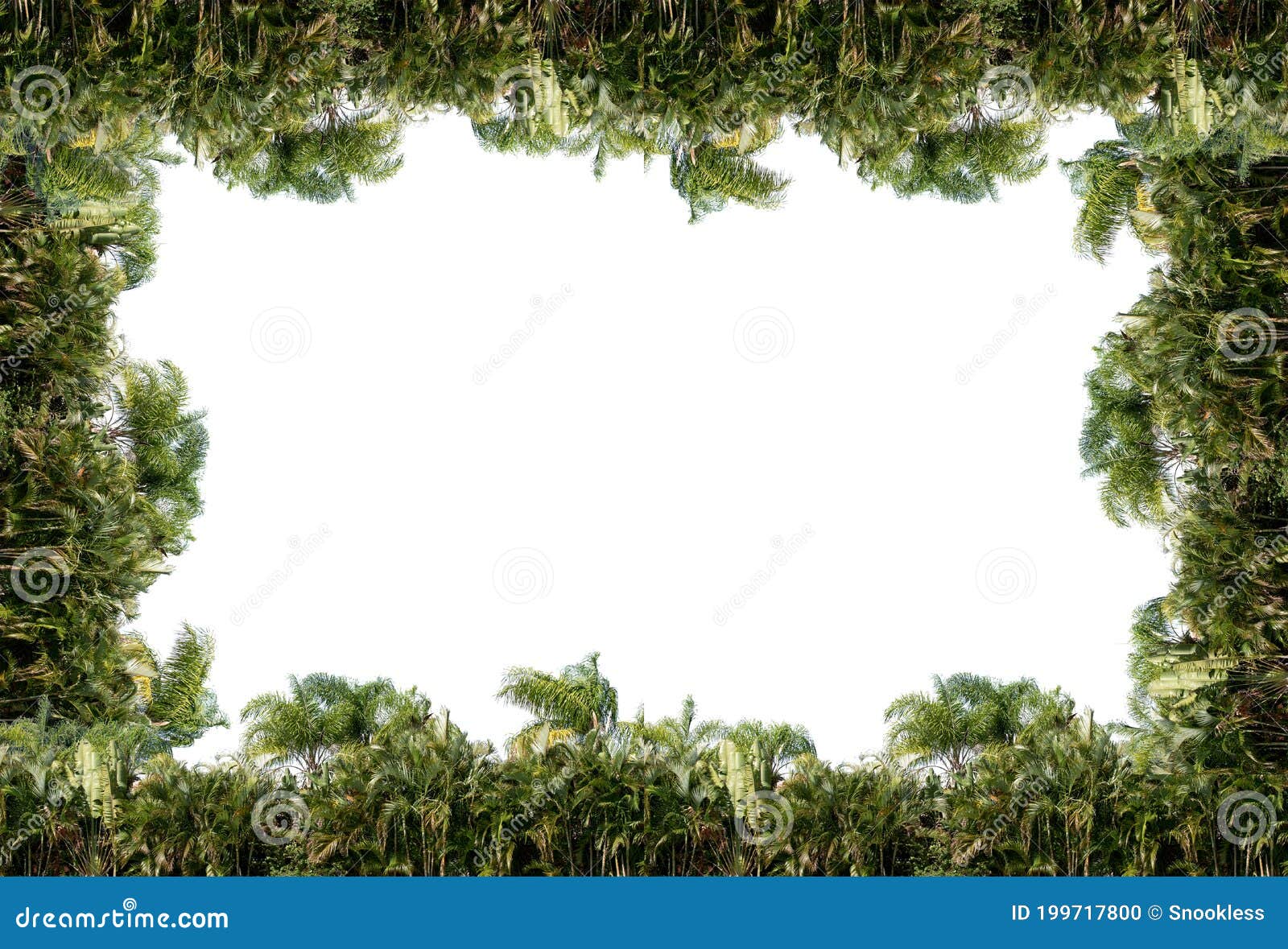 Tree Frame with Blank Canvas Stock Photo - Image of canvas, certificate ...