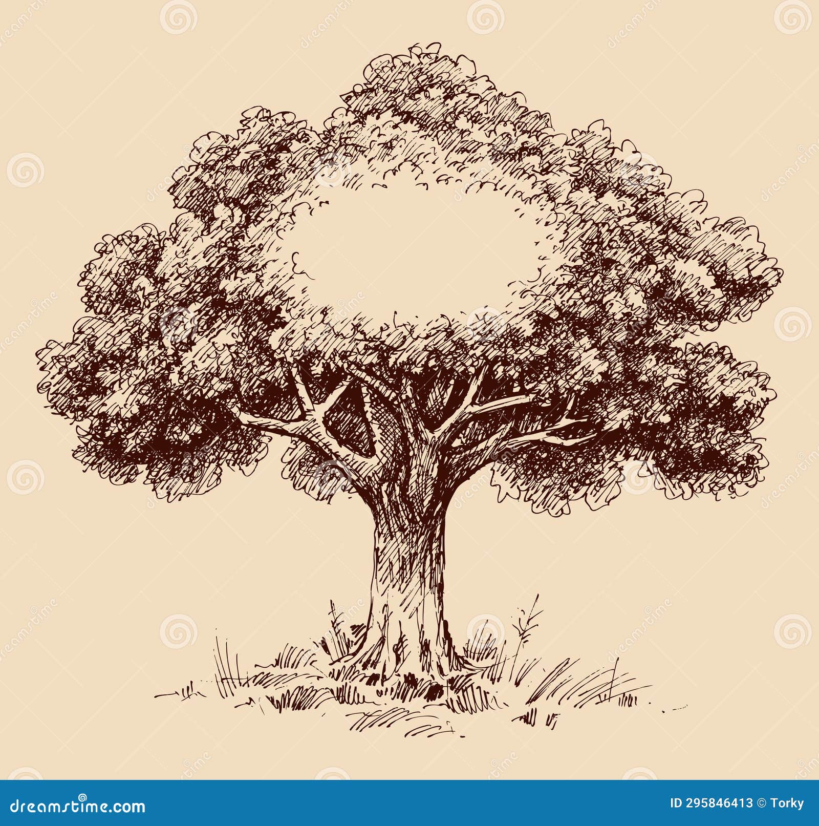 Tree Frame for Text Vector Hand Drawing Stock Vector - Illustration of ...