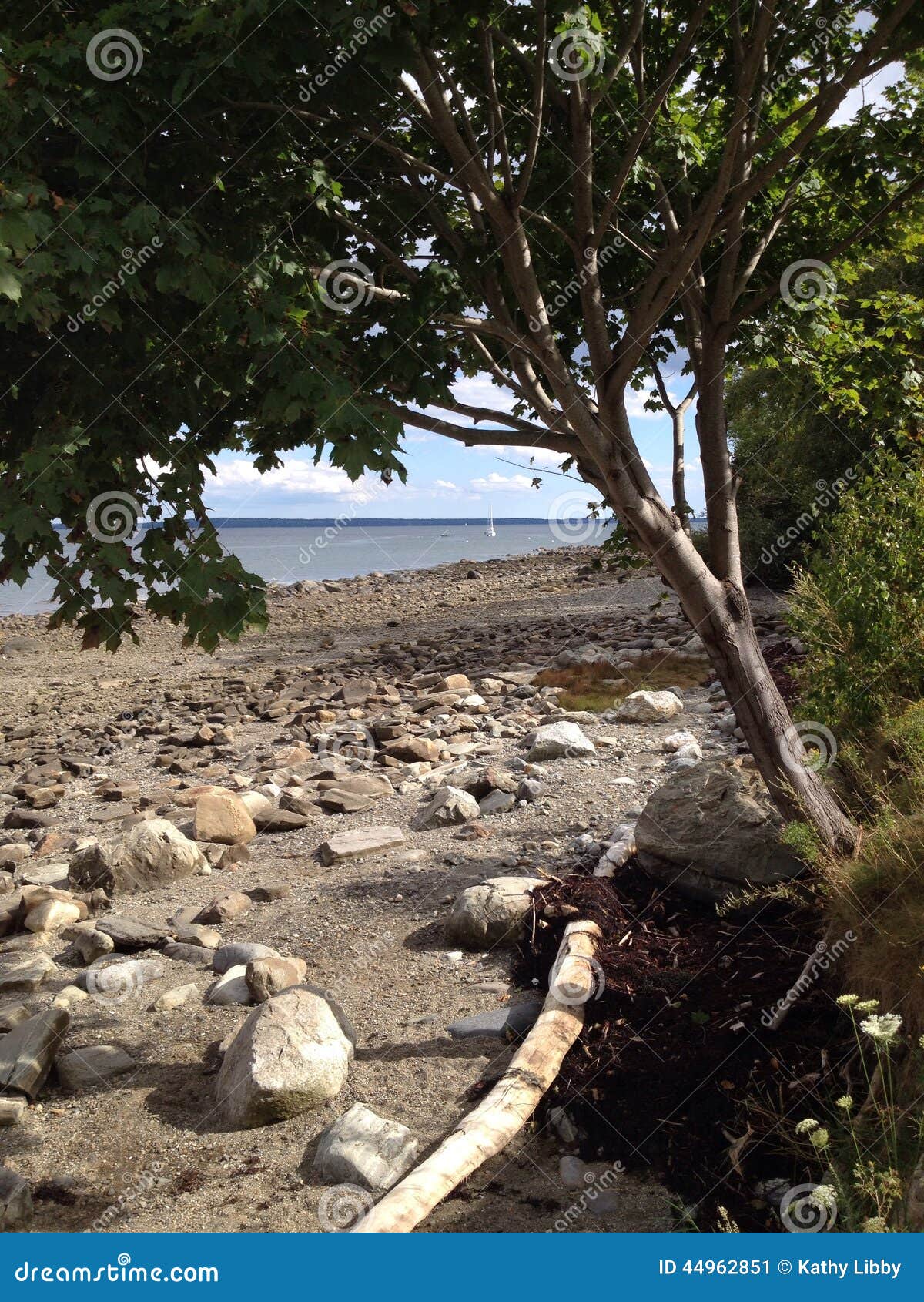 Tree framed ocean view stock image. Image of water, view - 44962851