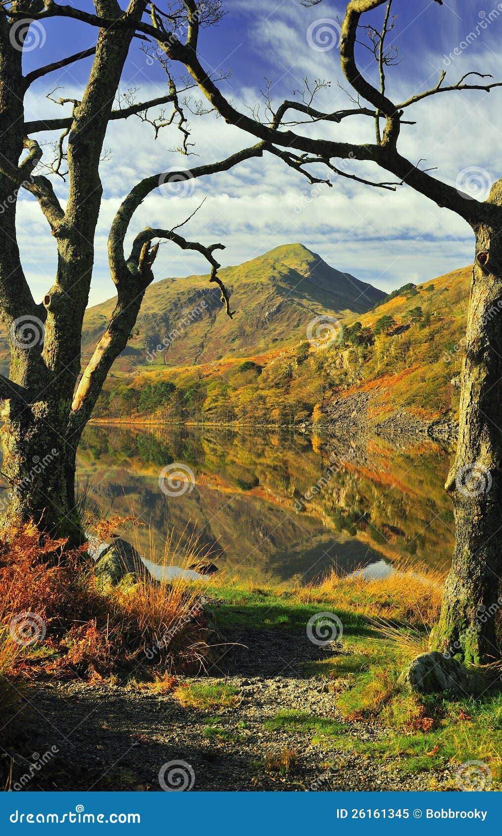 Tree Framed View, Snowdonia National Park Stock Image - Image of calm ...