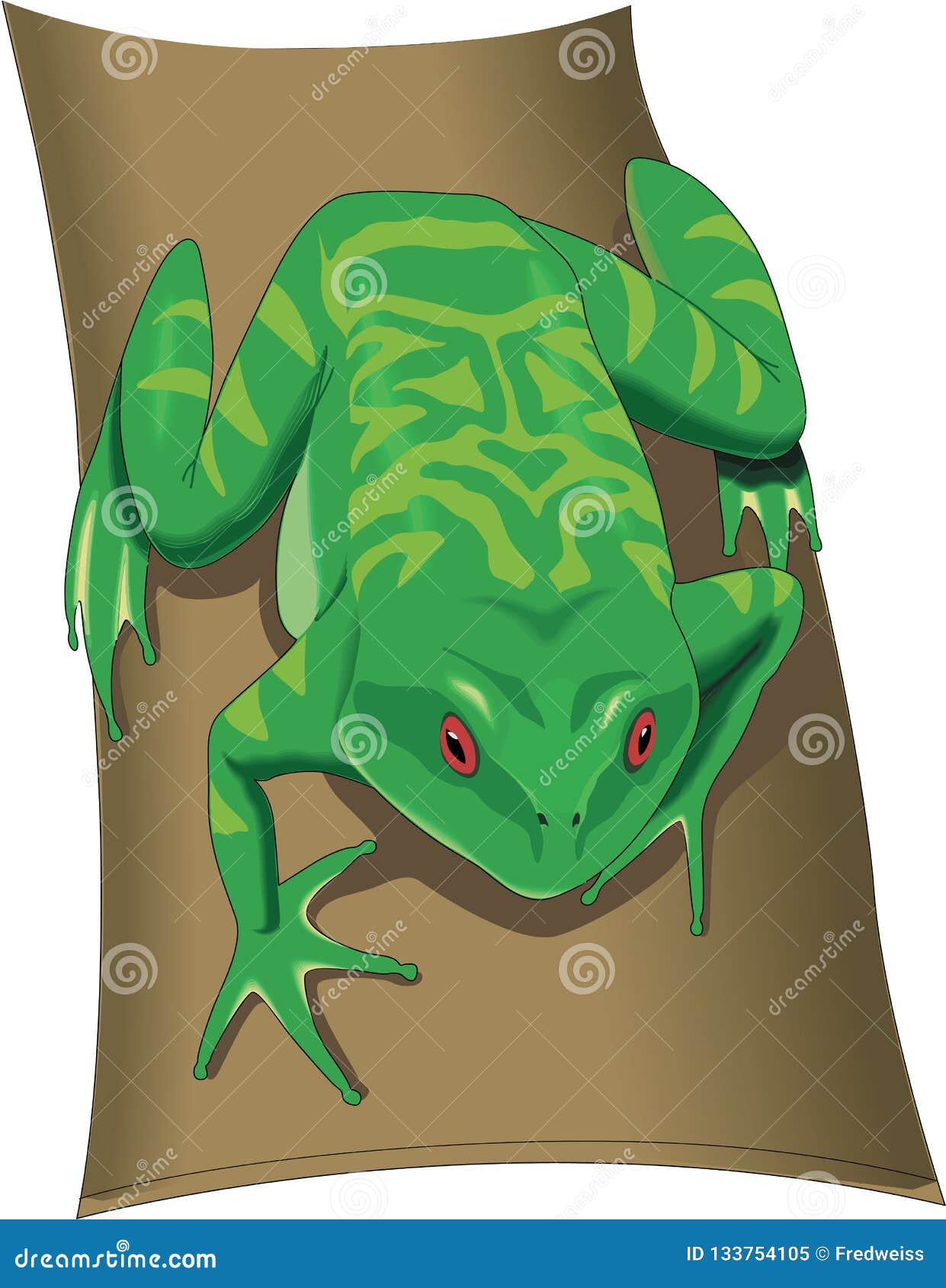 Tree Frog Illustration stock vector. Illustration of animals - 133754105