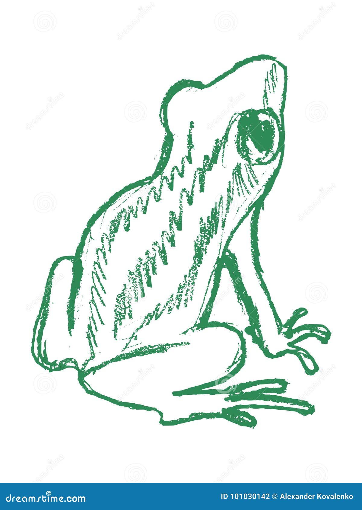Tree frog, tropical animal stock illustration. Illustration of drawn ...