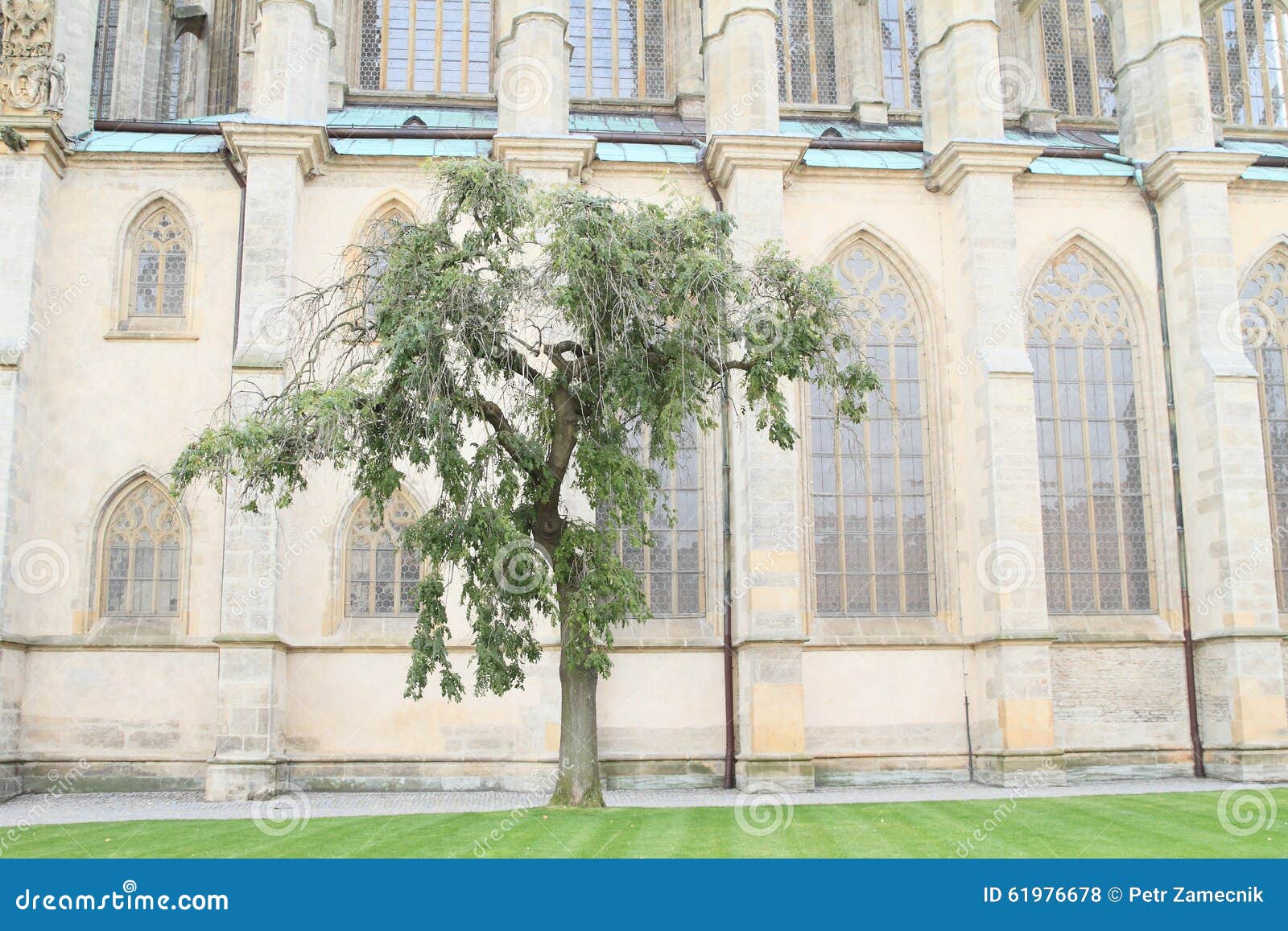 Tree in Front of Cathedral of St. Barbara Stock Photo - Image of ...