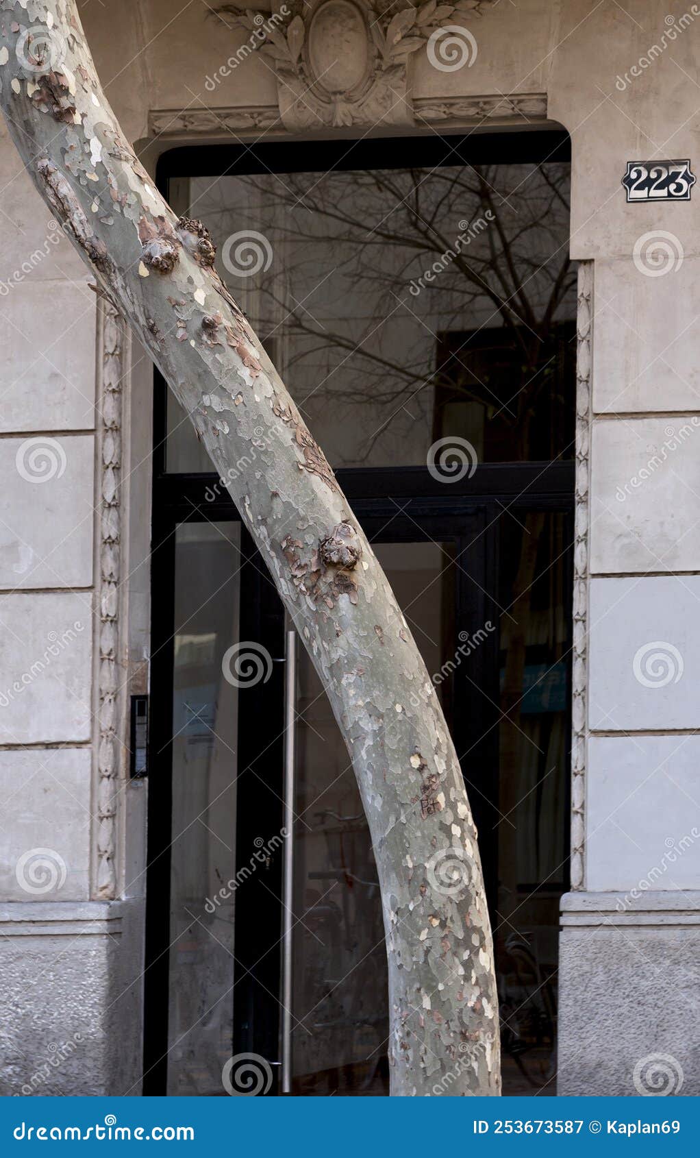 The Tree in Front of the Door Series NÂº 54 Stock Image - Image of ...