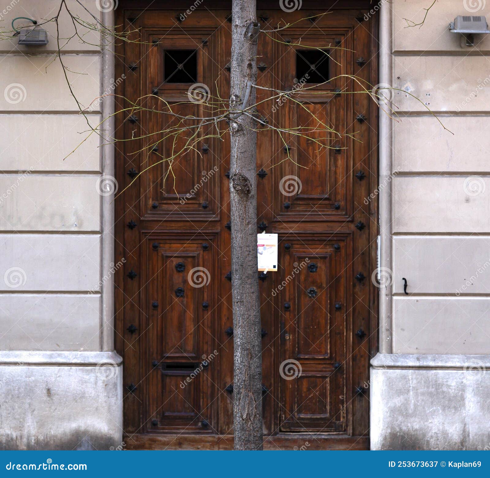 The Tree in Front of the Door Series NÂº 60 Stock Image - Image of ...
