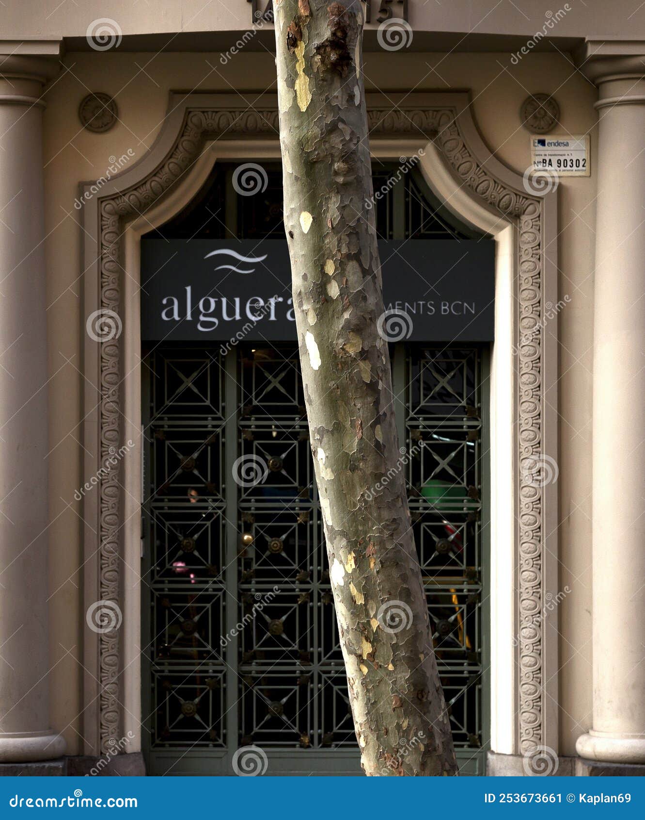 The Tree in Front of the Door Series NÂº 50 Stock Image - Image of ...
