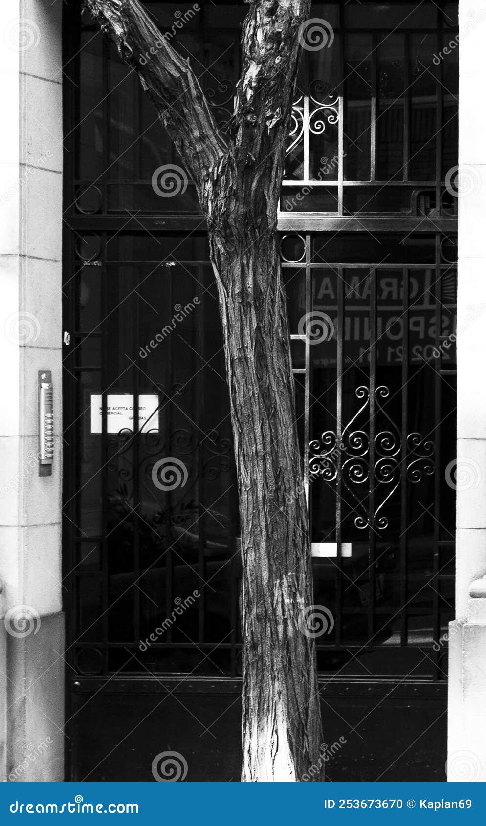 The Tree in Front of the Door Series NÂº 43 Stock Photo - Image of ...