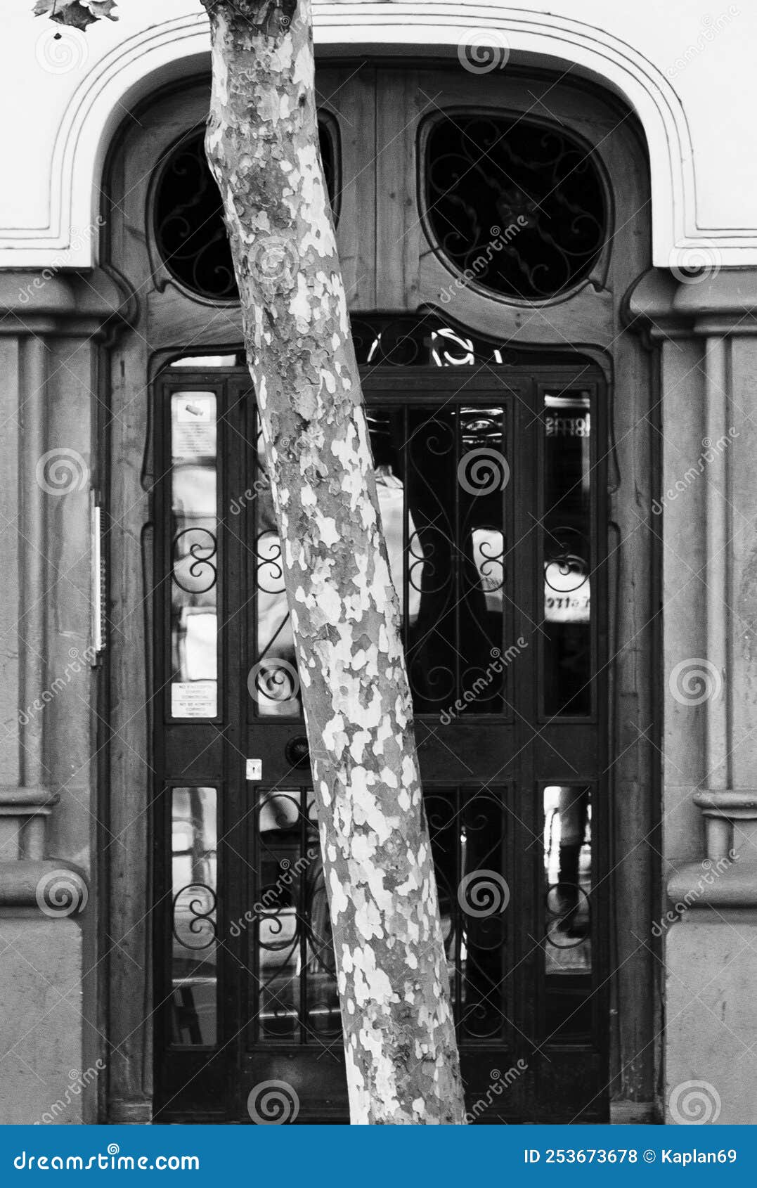 The Tree in Front of the Door Series NÂº 47 Stock Photo - Image of ...
