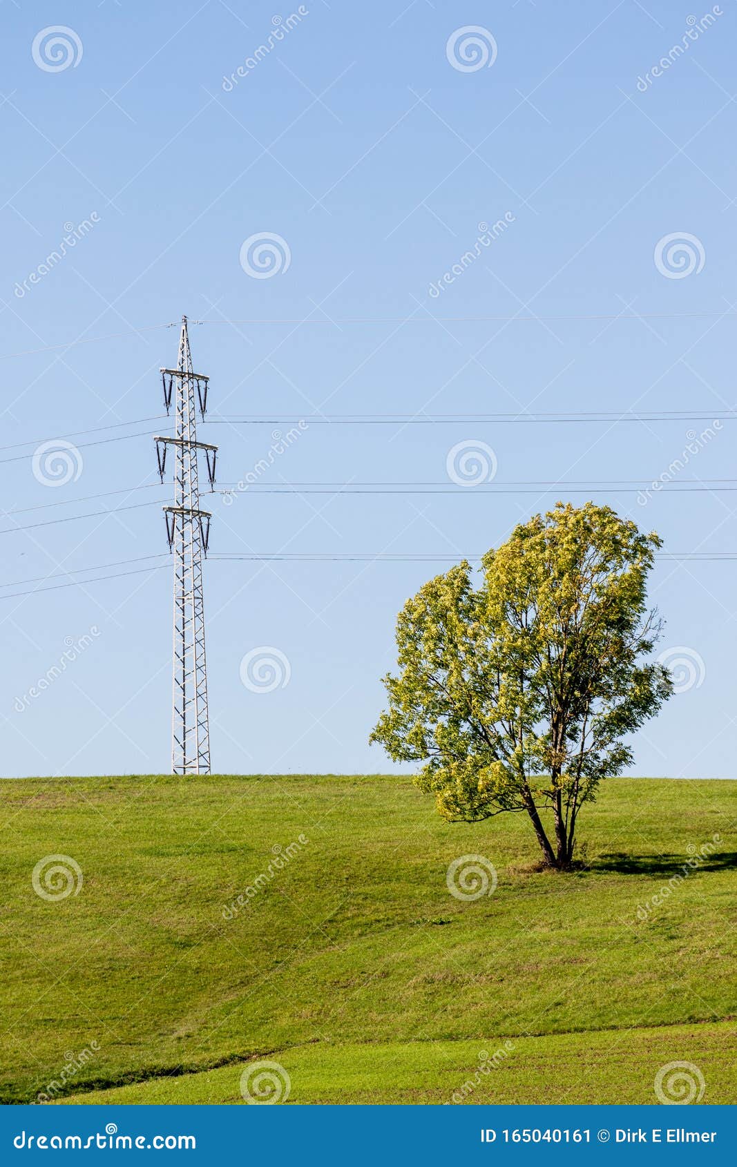 Tree in Front of a High Voltage Power Line Stock Image - Image of ...
