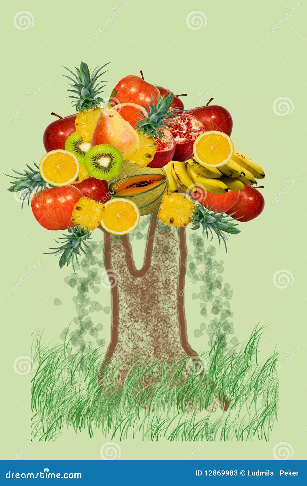 Tree from fruit stock illustration. Illustration of figure - 12869983