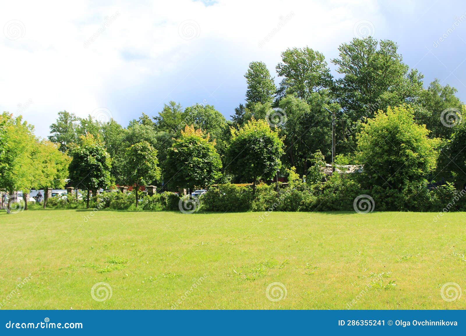 Tree in the Garden, Green Lawn, Nice Trees. Stock Image - Image of ...