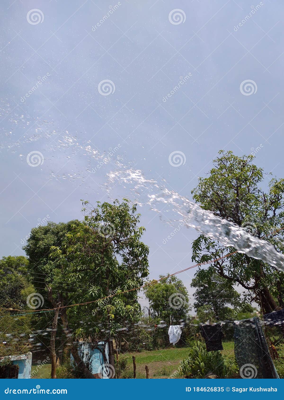 Tree Garden Sky River Flying Water Water Flow Stock Image - Image of ...