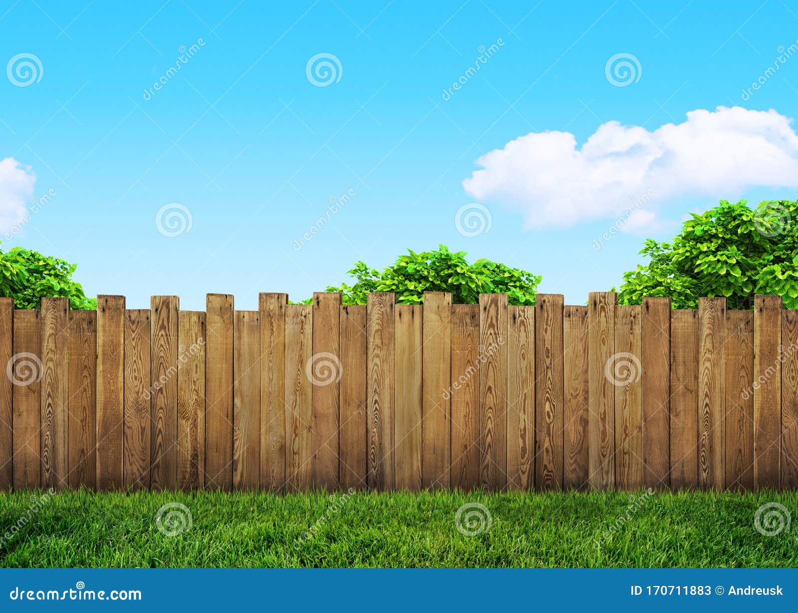 Tree in Garden and Wooden Backyard Fence with Grass Stock Image - Image ...