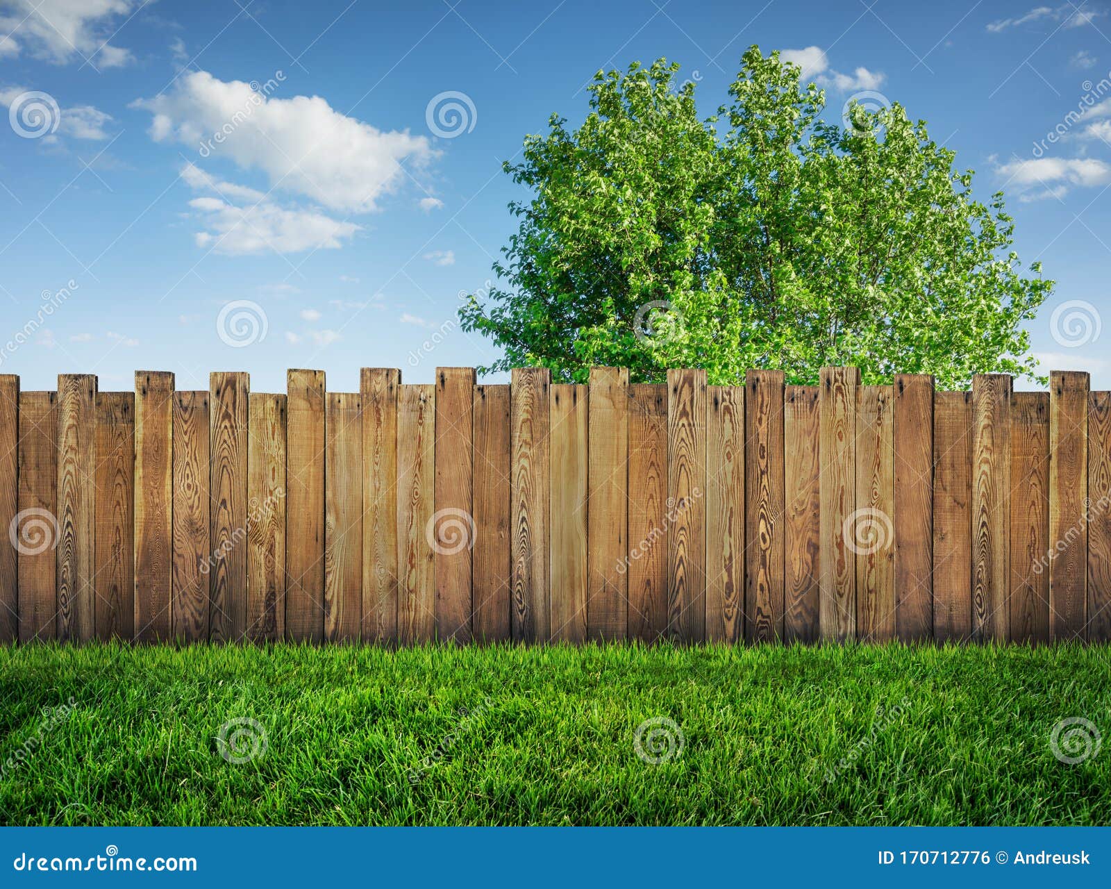 Tree in Garden and Wooden Backyard Fence Stock Photo - Image of picket ...