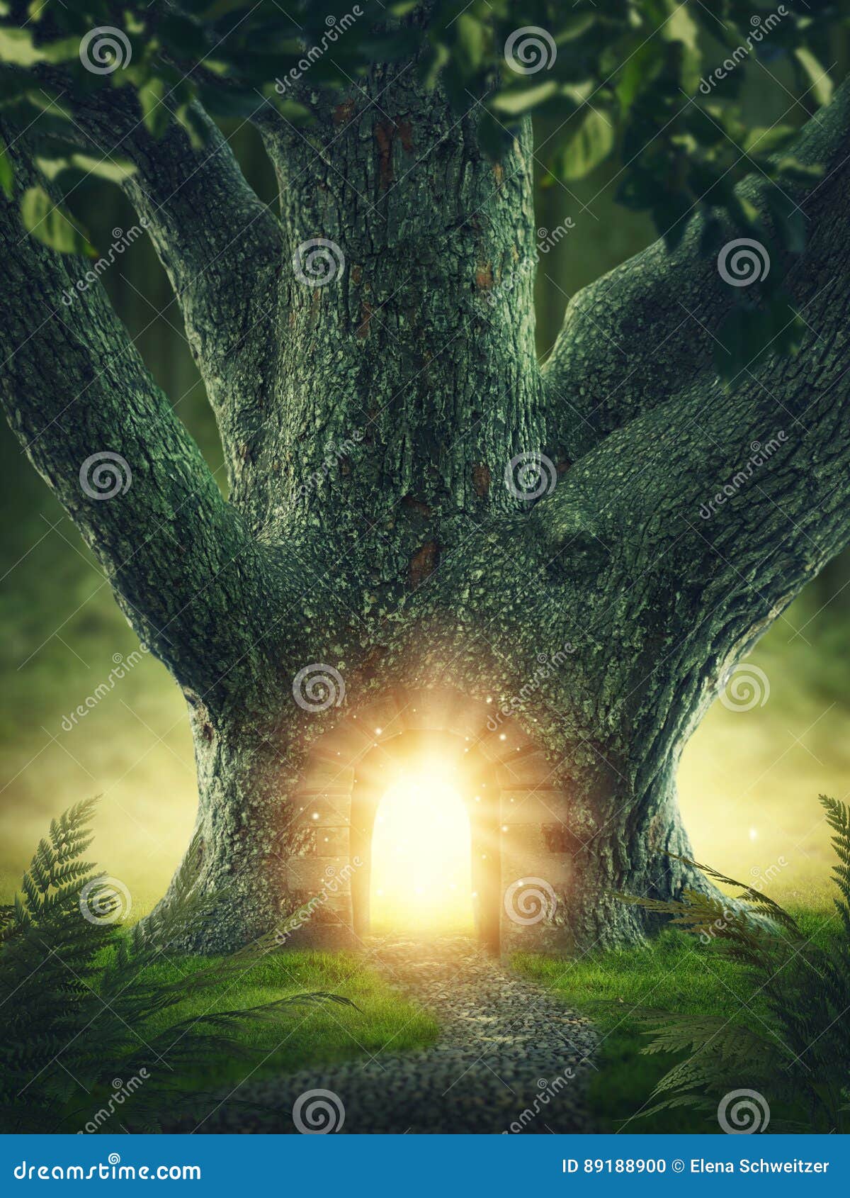 Tree with the gateway stock photo. Image of night, deep - 89188900