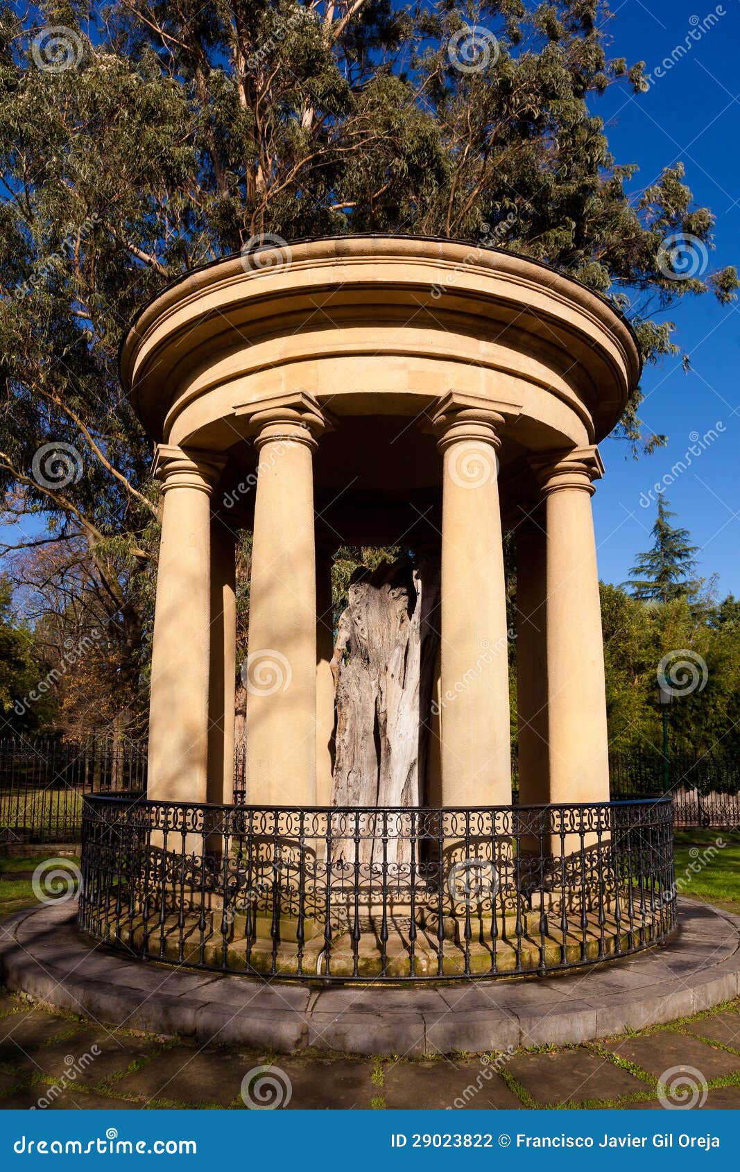 Tree of Gernika, Bizkaia stock photo. Image of color - 29023822