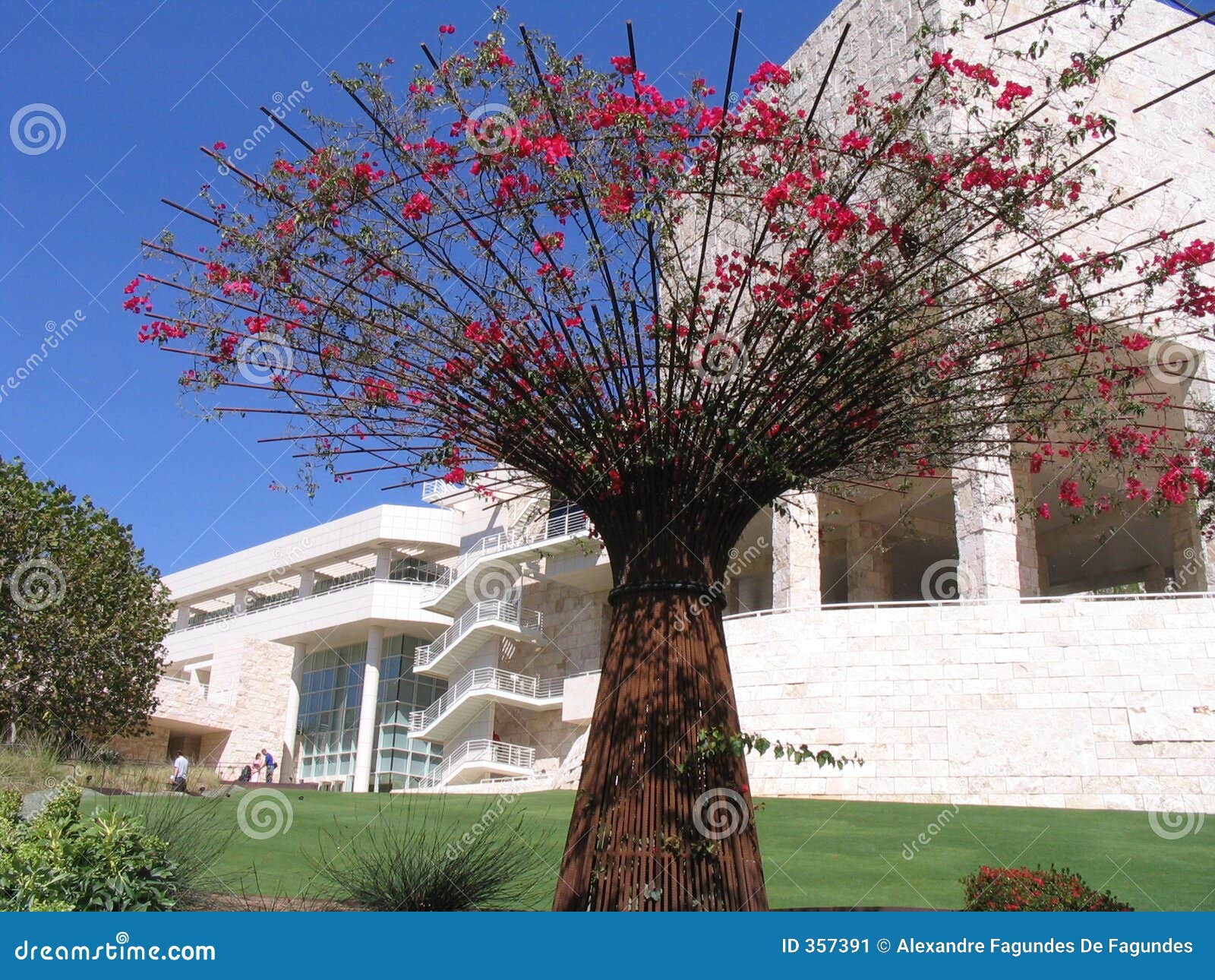 Tree in Getty Museum editorial photo. Image of galleries - 357391