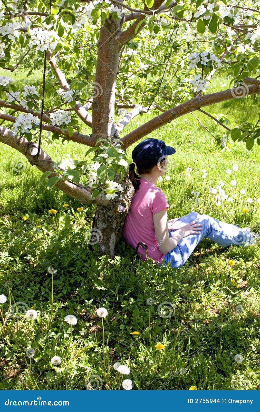 Tree Girl stock photo. Image of sitting, blossom, farm - 2755944