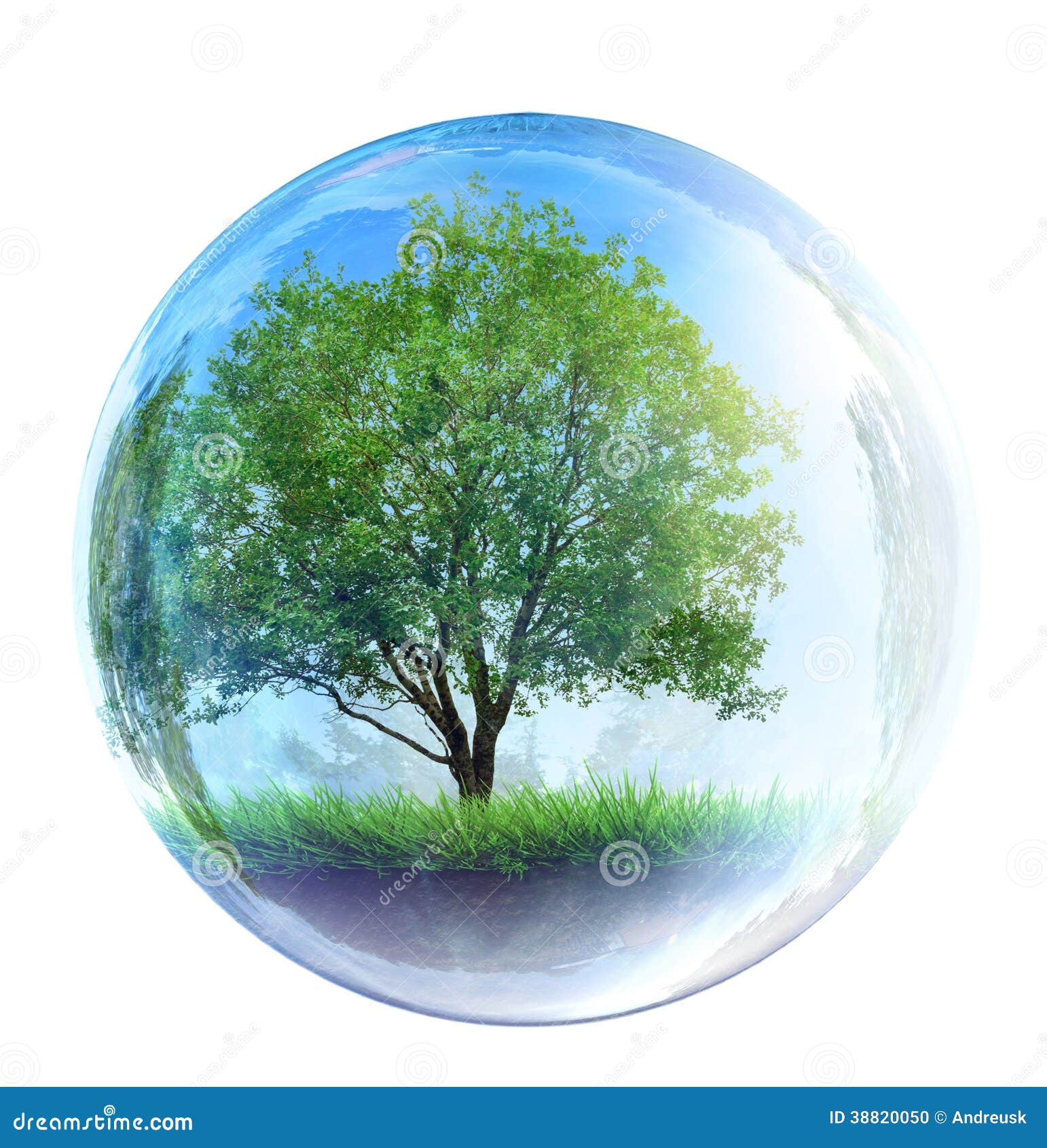 Tree in glass bubble stock photo. Image of renewable - 38820050