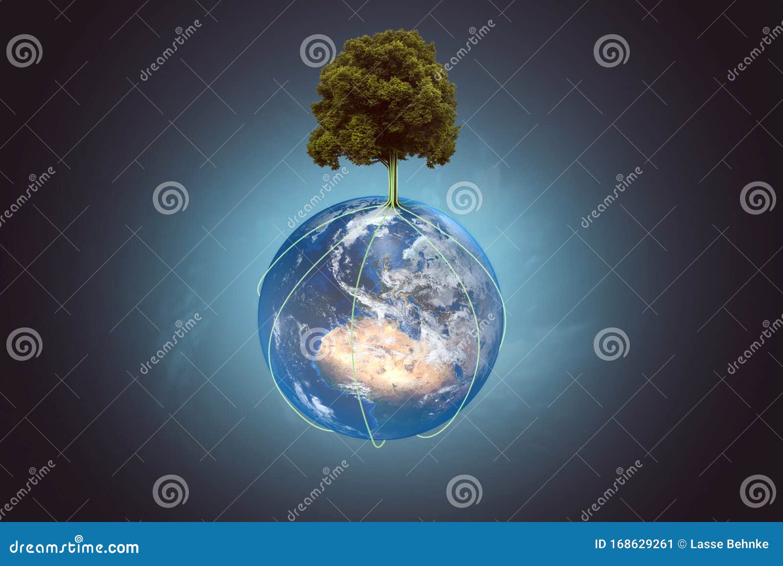 Tree on a globe stock image. Image of tree, reserve - 168629261