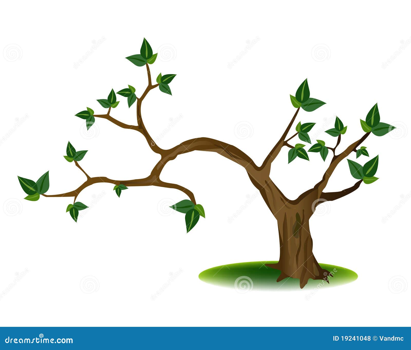 Tree with gnarled branches stock vector. Illustration of foliage - 19241048