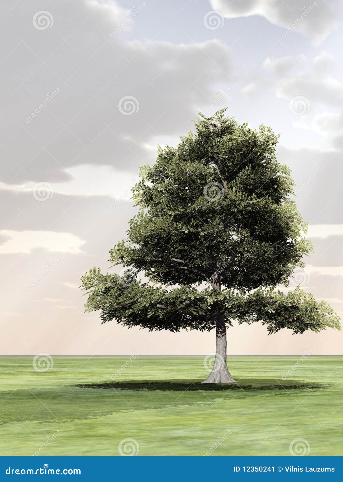 Tree in the god rays stock illustration. Illustration of tree - 12350241
