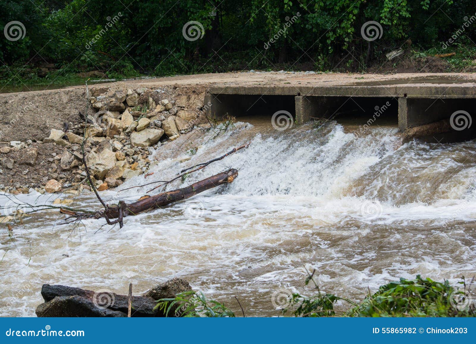 Tree Going Downstream in Flood Waters. Stock Photo - Image of flood ...
