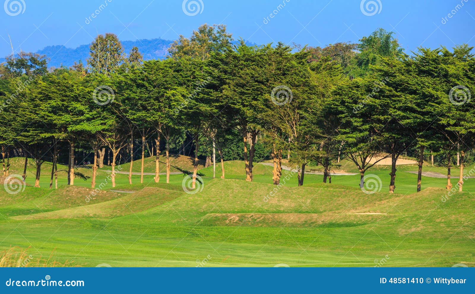 Tree in golf course stock photo. Image of field, grass - 48581410