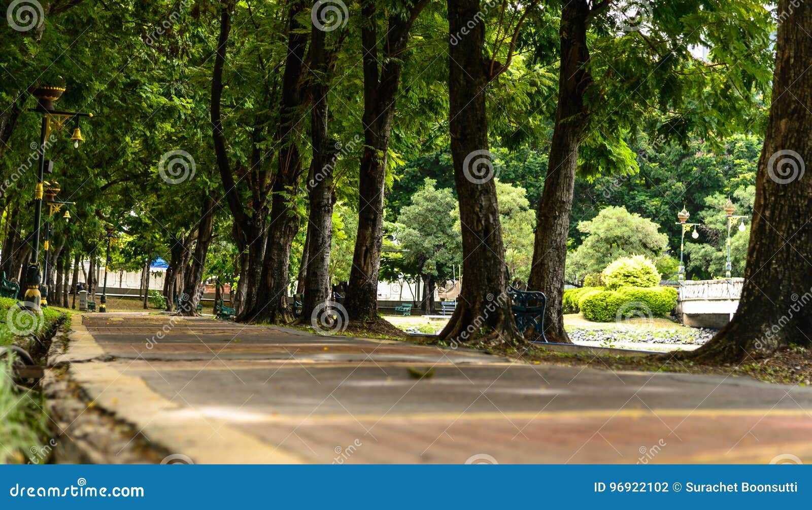 Through tree in graden stock photo. Image of landscape - 96922102