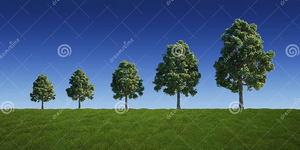 Tree graph stock illustration. Illustration of scenics - 9299856