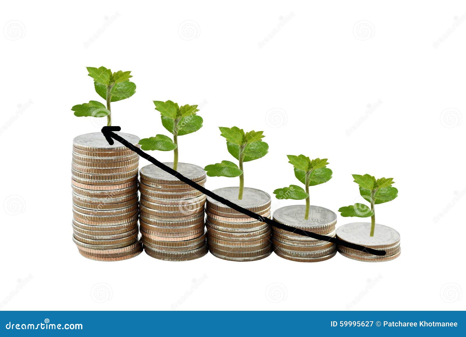 Tree and Graph on Money Growth Concept in Business Stock Image - Image ...