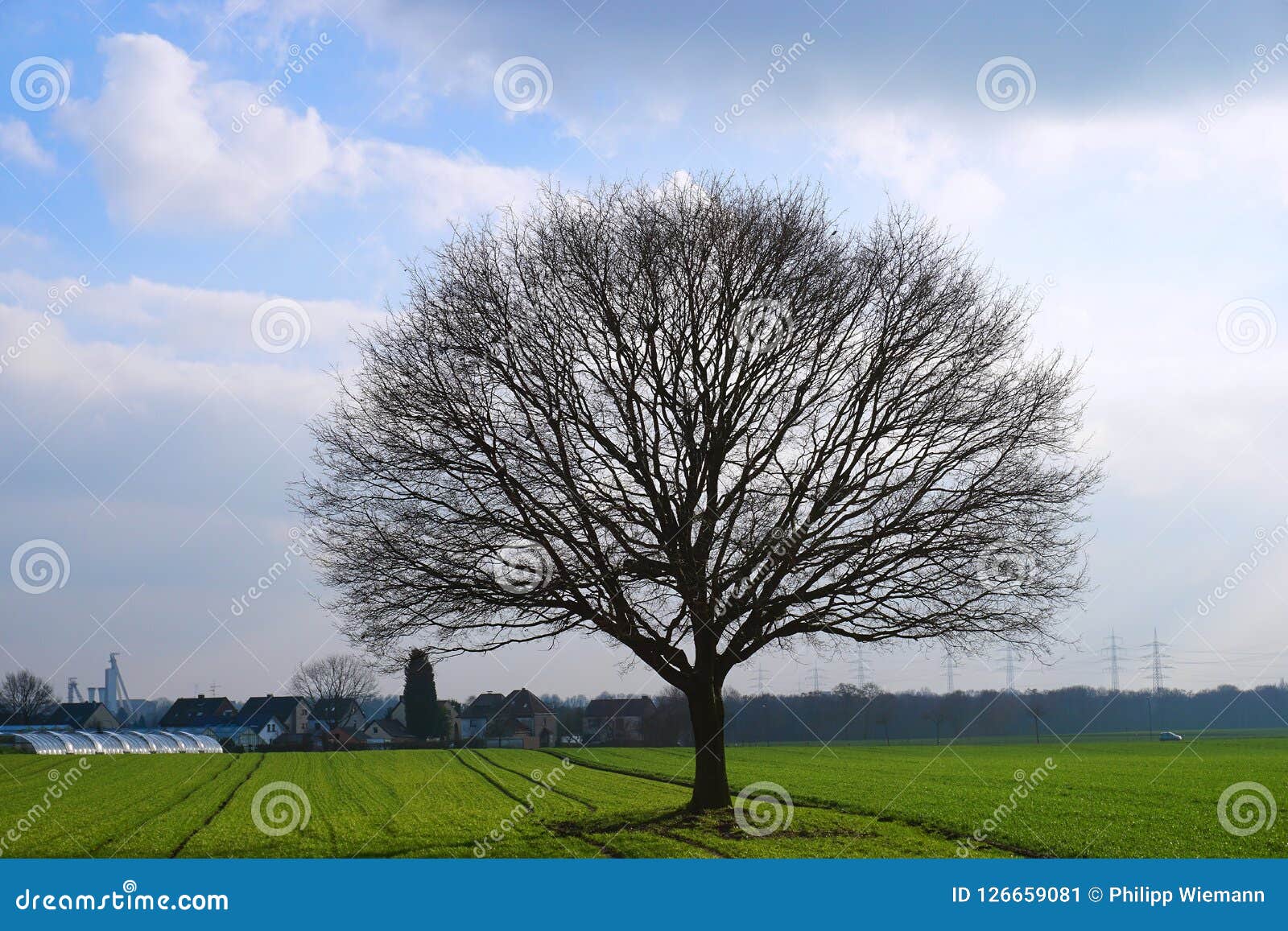 It is a Tree on a Cloudy Day Stock Image - Image of design, fluffy ...