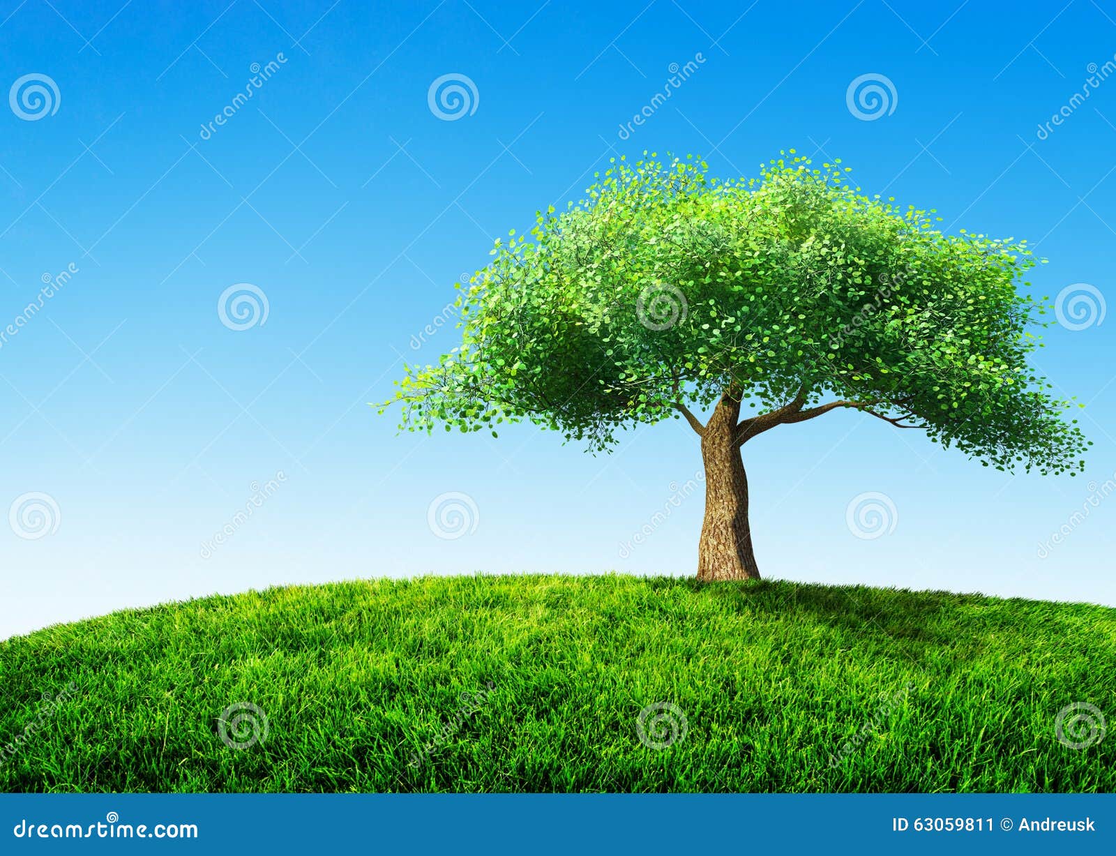 Tree with grass stock illustration. Illustration of growth - 63059811