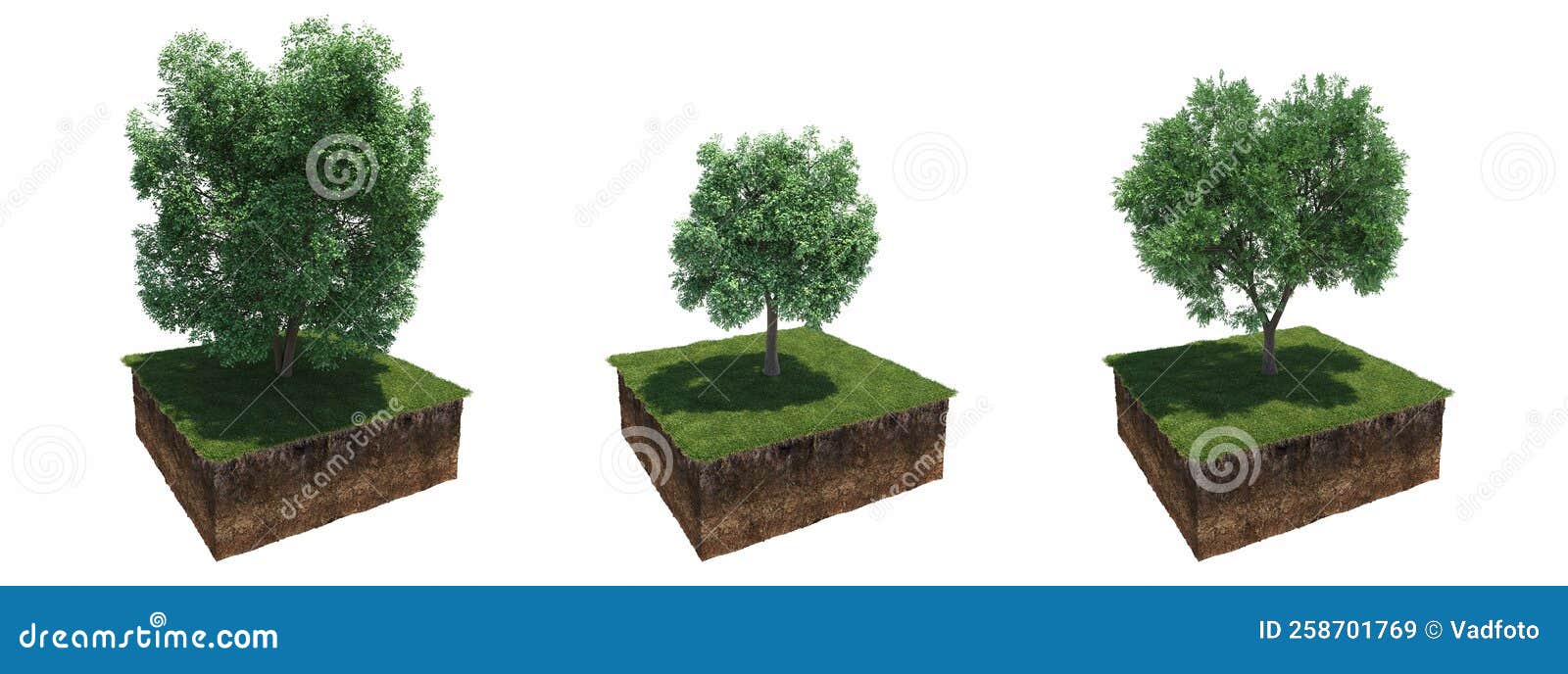 Deciduous Tree and Soil Cut Under it, 3d Render Stock Illustration ...