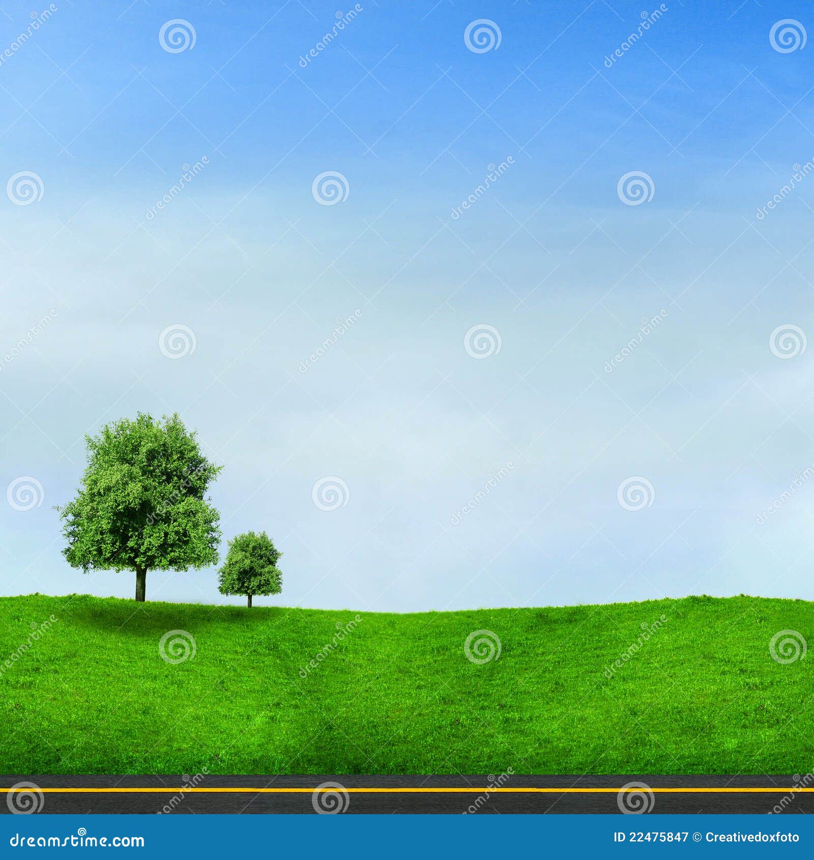 Tree and Green Field with Road and Blue Sky Stock Image - Image of ...