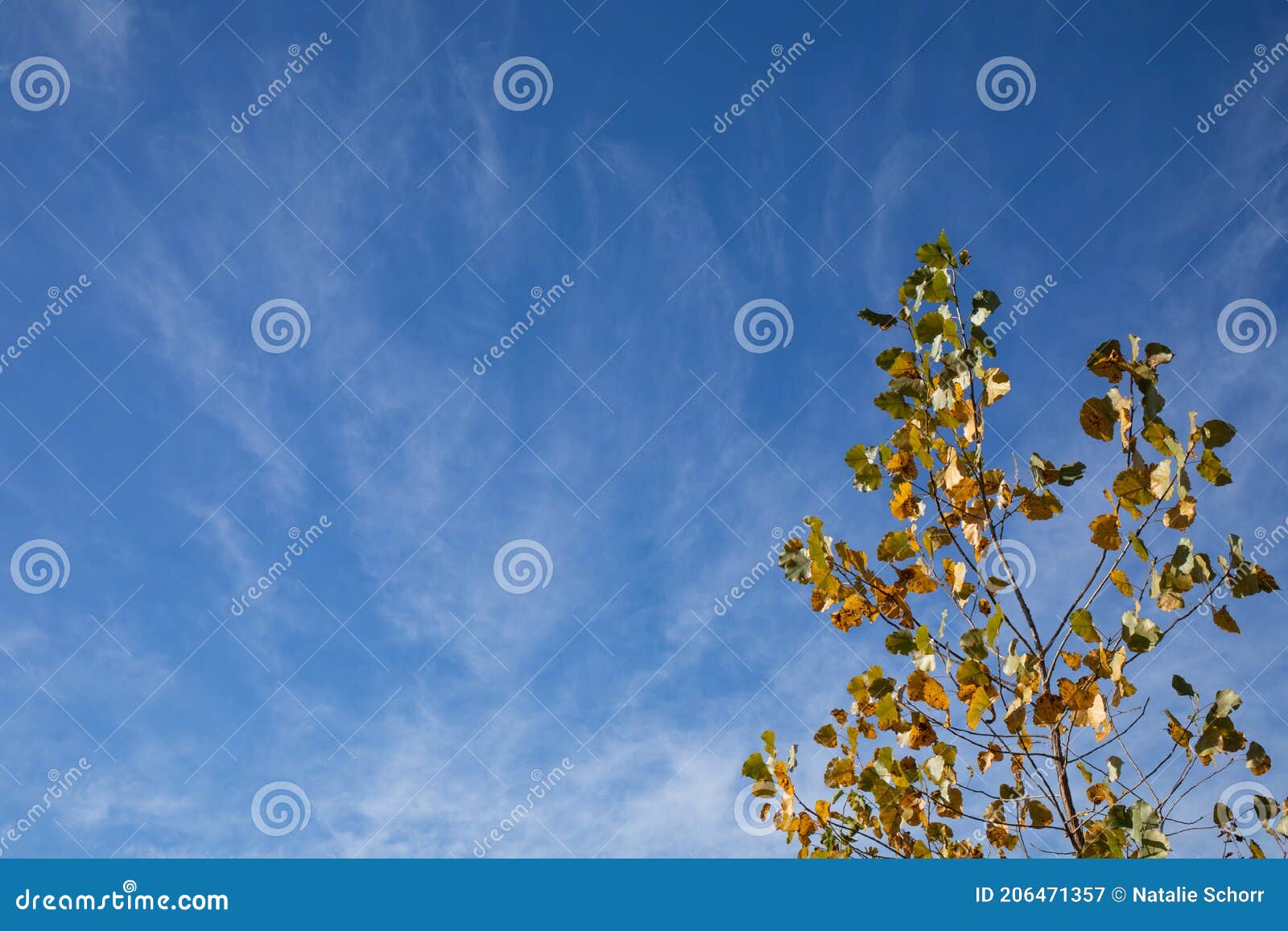 Wispy Gold Spirals Pattern Stock Image | CartoonDealer.com #1983205