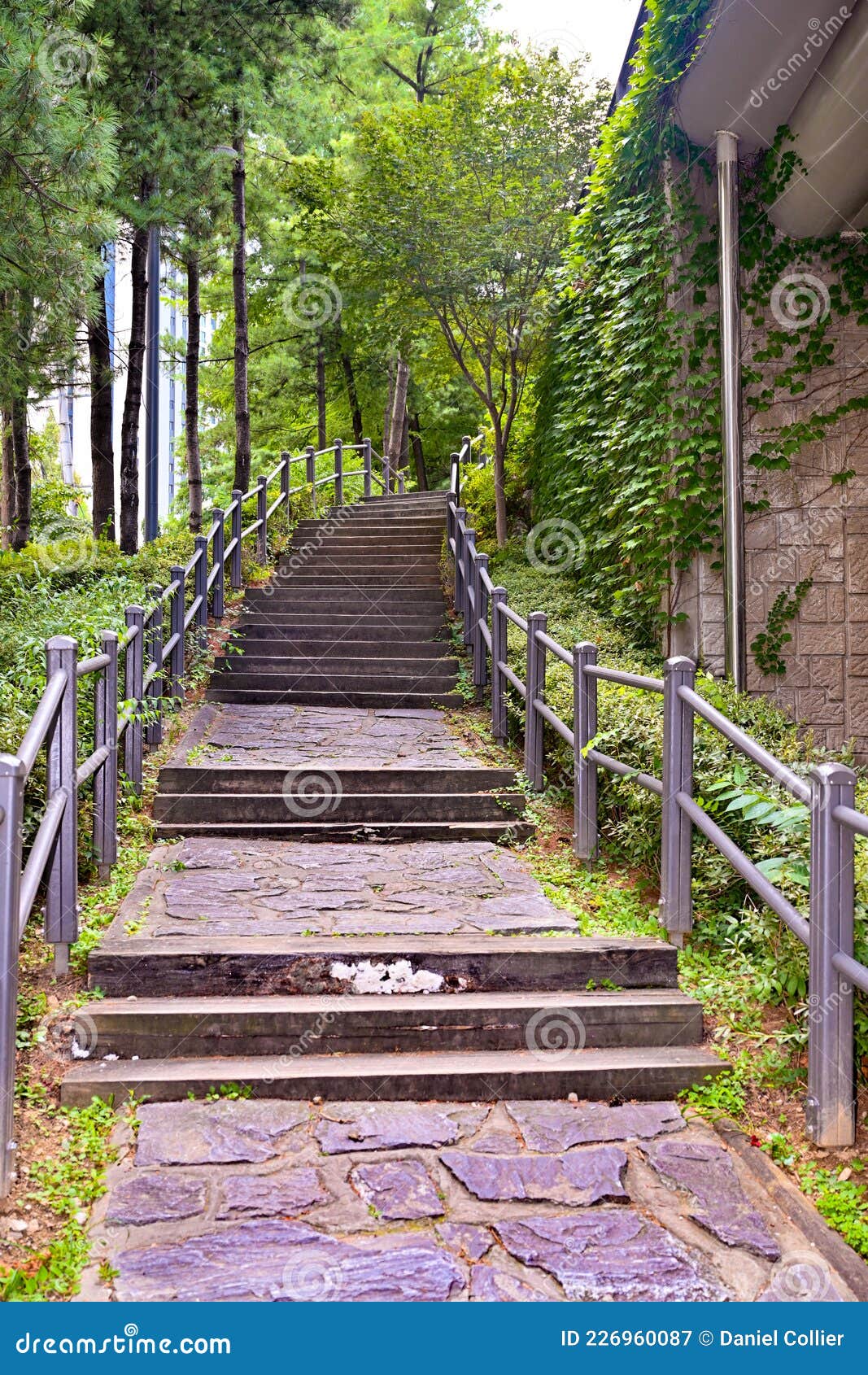 Stairway With Green Grass And Gravel Texture Stock Photo ...
